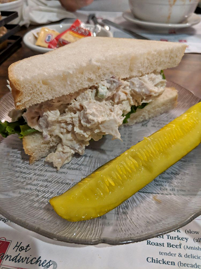 A chicken salad sandwich that doesn't skimp on the chicken, with a pickle standing by for tangy moral support. Lunch perfection achieved.