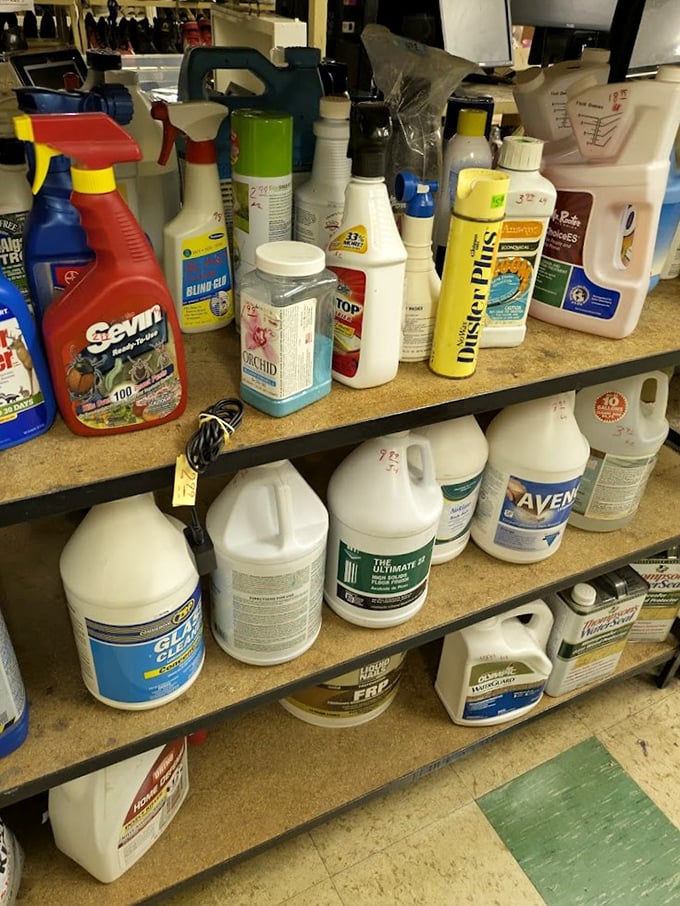 The cleaning supply corner: proof that Portland's thrift shoppers are serious about sustainability. Even half-full bottles get a second chance at tackling grime.