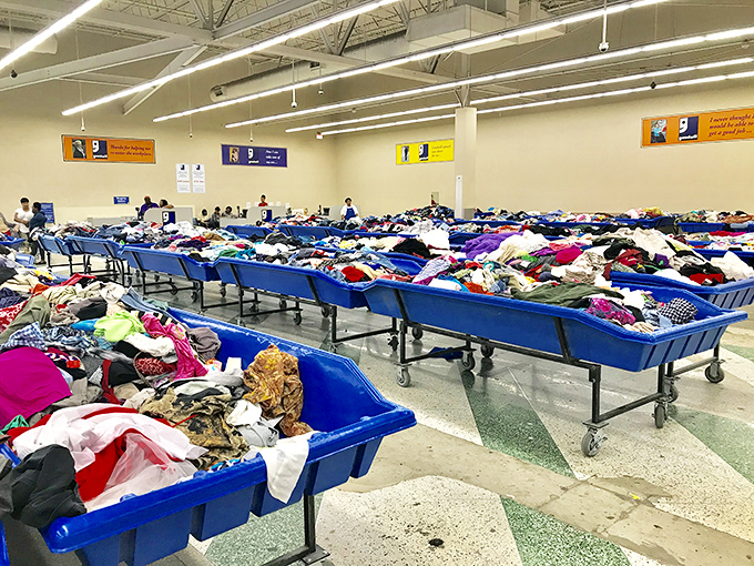 The grand landscape of possibility stretches before you. These blue bins are where retail therapy meets the thrill of discovery.