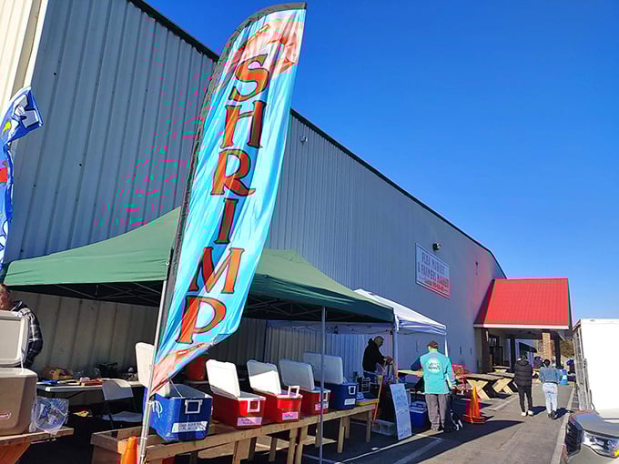 The "SHRIMP" flag flutters like a siren call to seafood lovers, while coolers stand ready for the day's catch. Even flea markets have their gourmet corners!