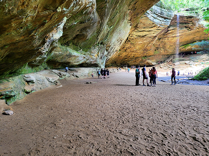 Ash Cave's massive overhang creates nature's grandest amphitheater. Even the most jaded teenager would look up from their phone here.