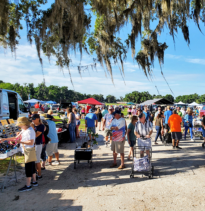 Under Spanish moss that drapes like nature's awnings, shoppers navigate the outdoor marketplace with carts ready for unexpected treasures.
