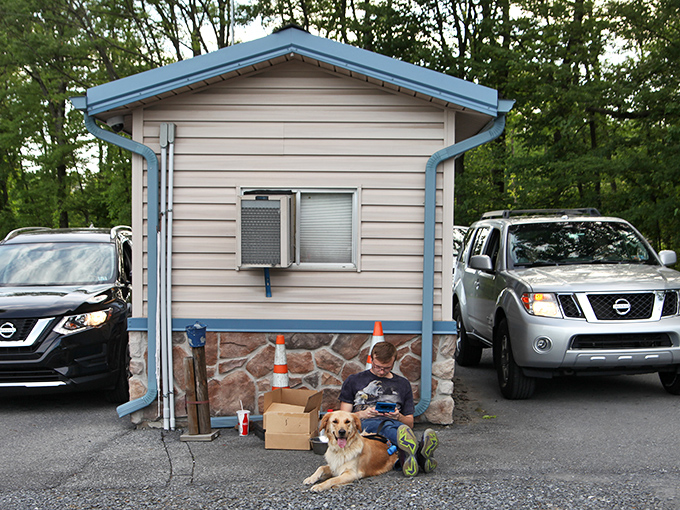 Man's best friend joins the movie night tradition. This golden retriever looks ready for his close-up&mdash;and probably hoping for dropped popcorn.