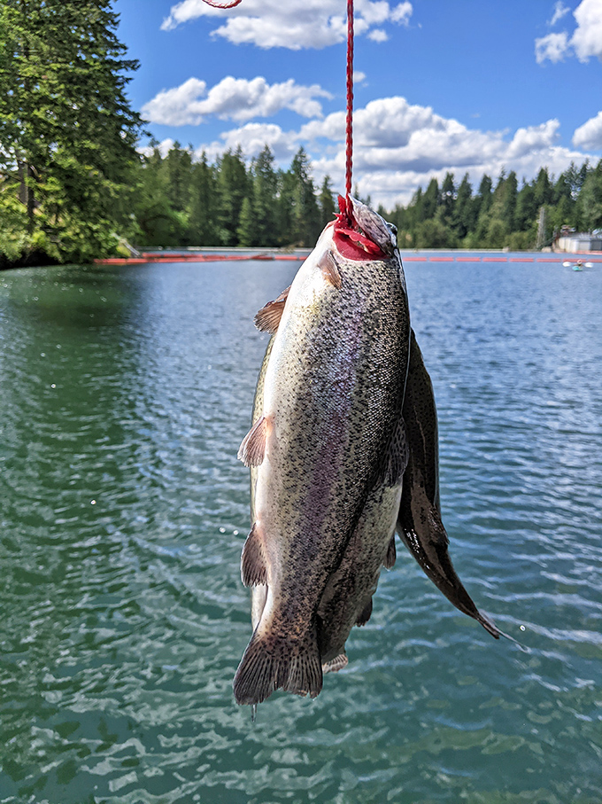 Fishing spots where patience isn't just a virtue &ndash; it's the secret ingredient for success.