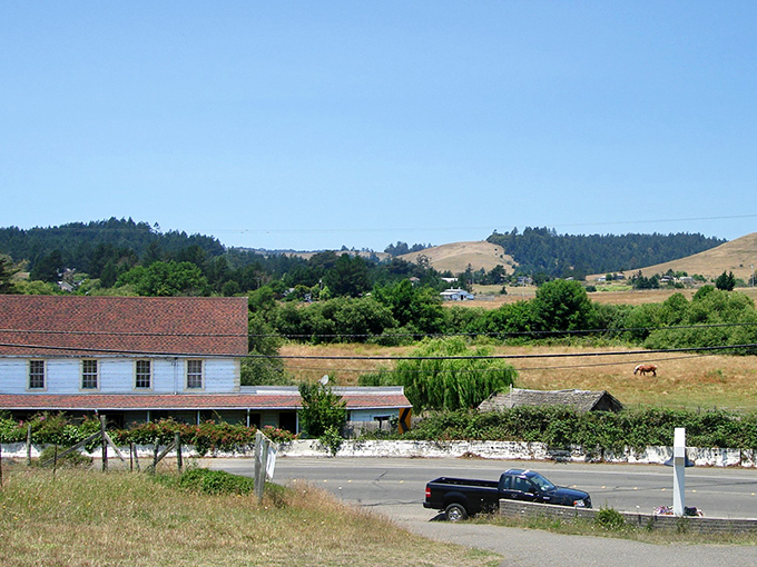 Rolling golden hills that look like they were specifically designed to make convertible car commercials and retirement brochures equally appealing.