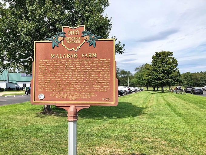 Historical markers: where important facts meet roadside attractions. Ohio's way of saying, "Slow down, there's a story here worth knowing."