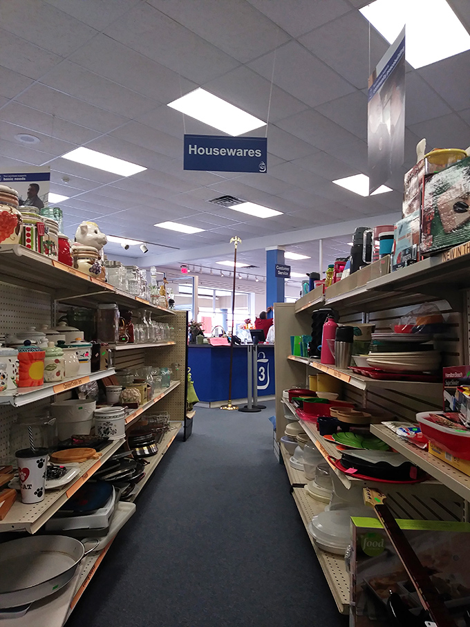 The housewares aisle: where kitchen dreams come true. From baking dishes to serving platters, equip your culinary adventures without emptying your wallet.