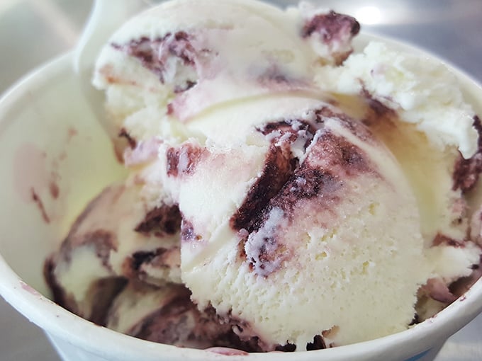 Swirls of ice cream that look like they're posing for their glamour shot. Dessert that knows it's the perfect finale.