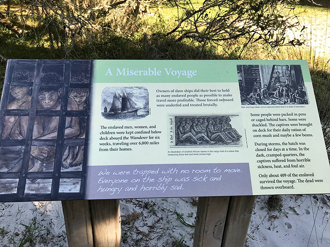 Educational displays tell difficult truths with dignity and respect. History's darkest chapters remembered so we can write better ones tomorrow.