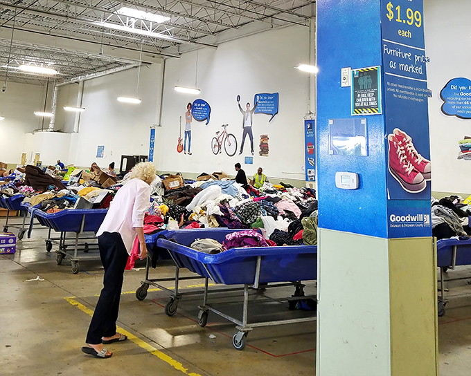 Blue bins as far as the eye can see, with shoppers engaged in the gentle sport of bargain hunting. The $1.99 sign is practically whispering "take me home."