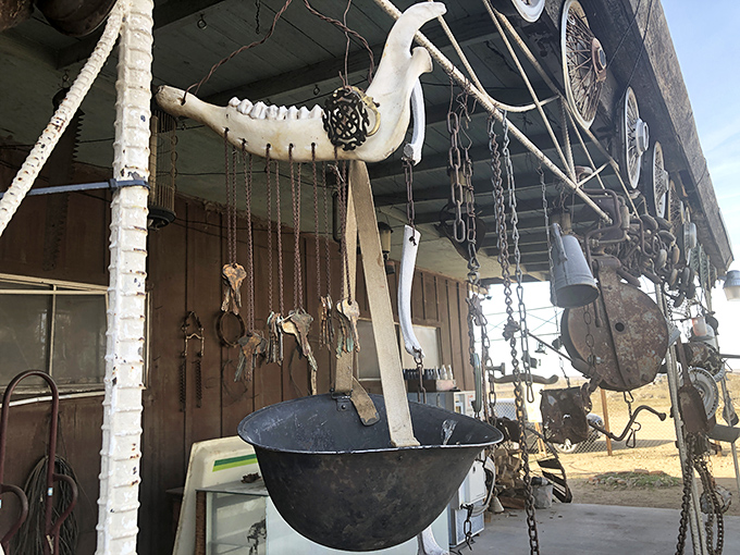 Dangling keys create an impromptu wind chime, turning forgotten hardware into musical art that dances with desert breezes.