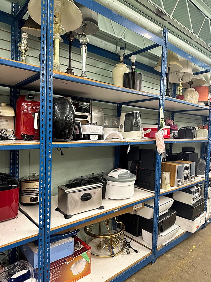 Kitchen appliance heaven where forgotten bread makers and rice cookers get their second chance at culinary stardom in your home.