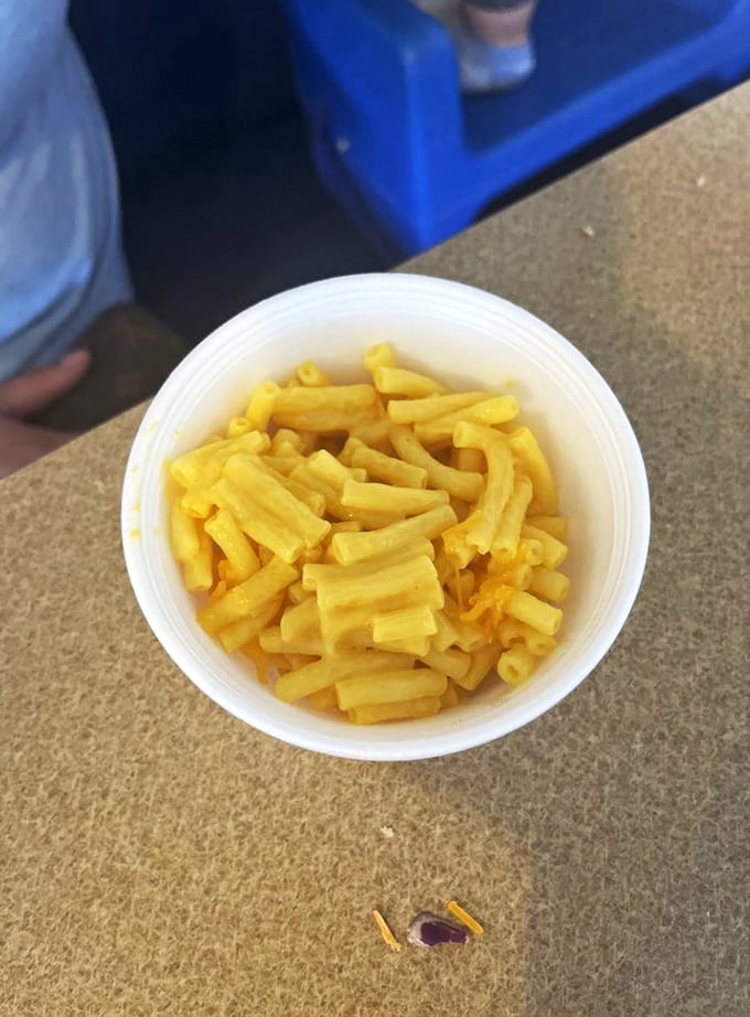 Mac and cheese that proves comfort food doesn't need to be complicated to be absolutely perfect.