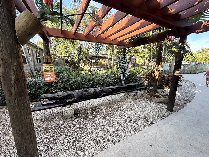 Sunbathing, alligator style. This relaxation spot comes with warning signs that are less suggestion and more survival necessity.