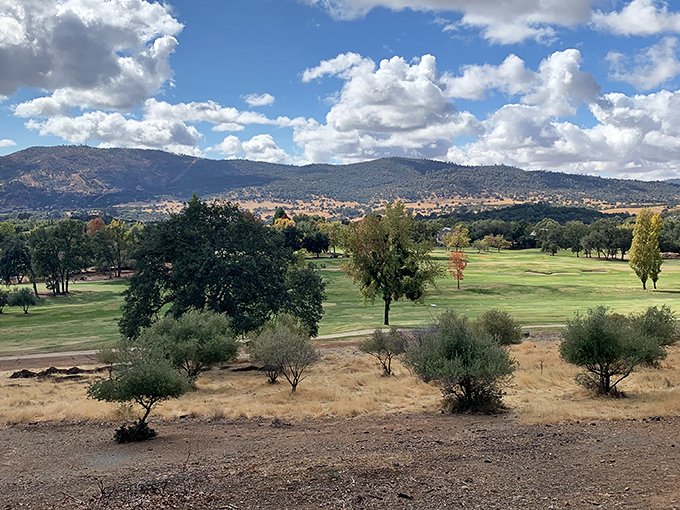 The golf course spreads across rolling terrain where par matters less than pure relaxation.