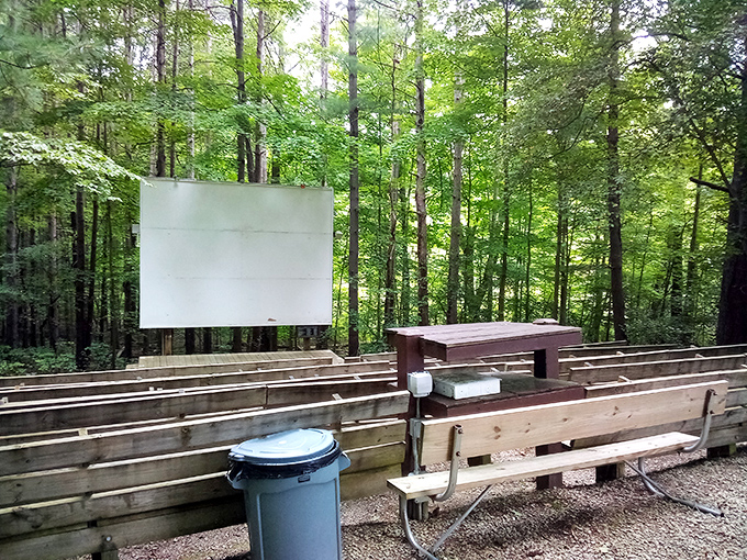 Cinema under the stars. This outdoor theater proves that sometimes the best surround sound is actually chirping crickets.