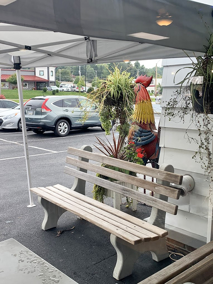 Even the outdoor seating has personality. The bench and rooster decoration create a charming waiting area where anticipation builds for breakfast delights ahead.
