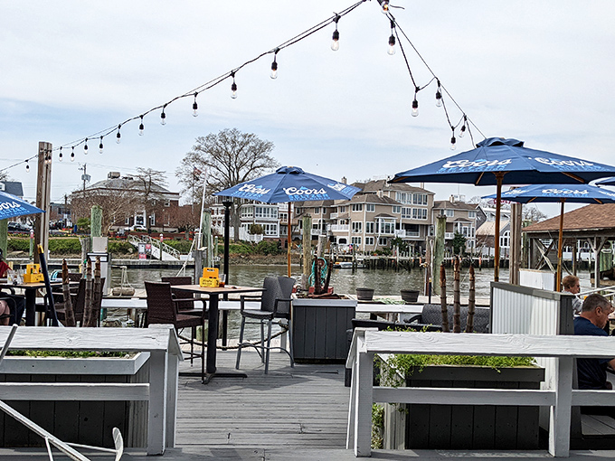 Dining with a view that rivals the food for your attention. Those string lights aren't just illumination; they're a promise that magical evenings happen here regularly.