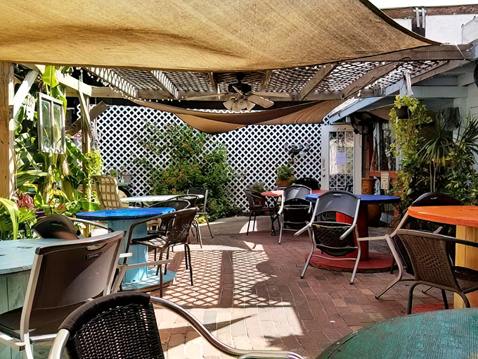 A shaded sanctuary where mismatched chairs and tropical plants create the ideal backdrop for serious burger business.