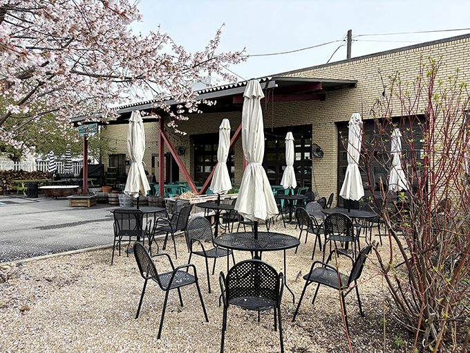 When the weather cooperates, Milktooth's outdoor seating becomes prime real estate. Those cherry blossoms add nature's own garnish to your dining experience.