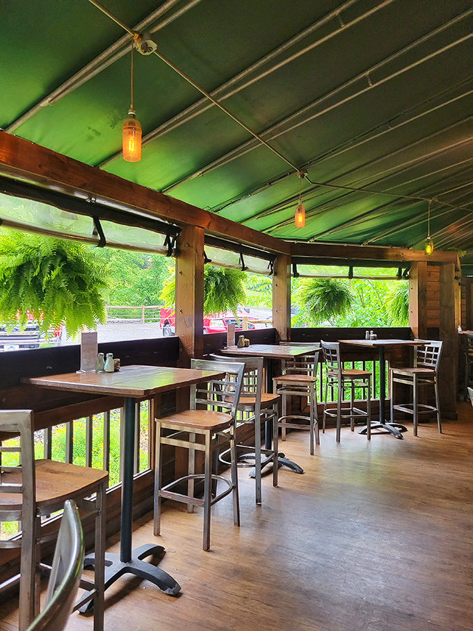 The outdoor seating area isn't just a patio&mdash;it's nature's dining room. Those hanging ferns create the perfect canopy for al fresco Pennsylvania feasting.