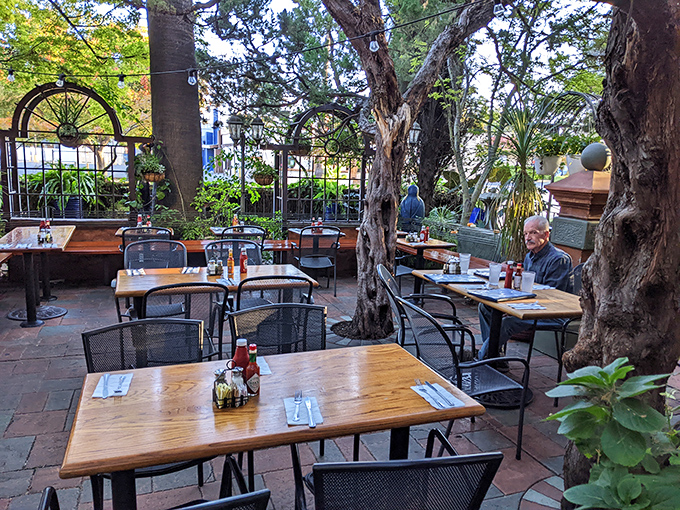 The outdoor patio at Tower Caf&eacute;, where trees grow through tables and Sacramento's weather finally makes sense. Dappled sunlight included at no extra charge.