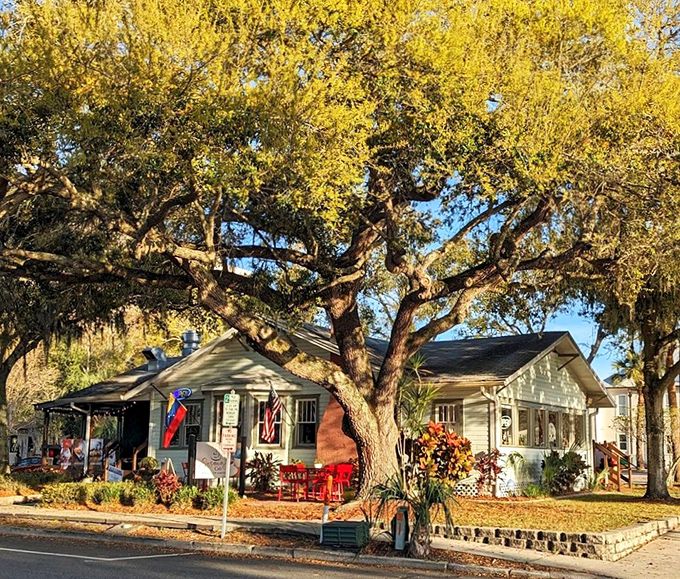 Golden hour transforms this cottage cafe into something magical, where oak trees stand guard over cups of coffee and conversations worth remembering.
