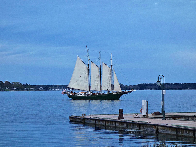 As twilight falls, sailing ships glide by—a dinner show that beats anything on your Netflix queue.