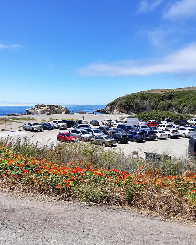 Even the parking lot has million-dollar views. California poppies frame this practical space, reminding visitors they're in for something special.