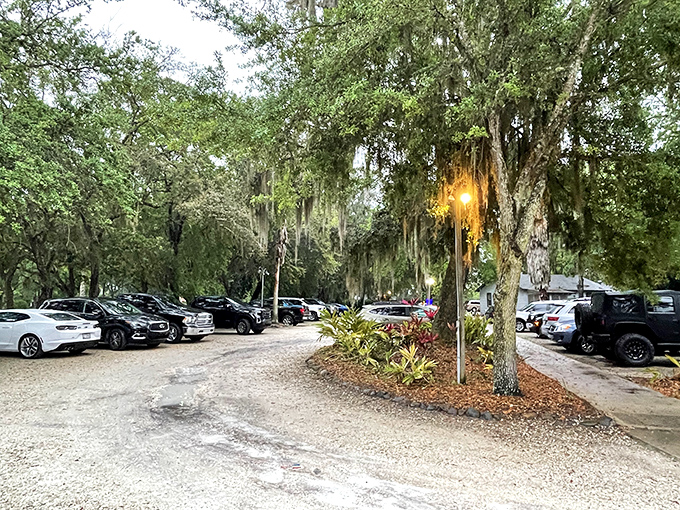 Even the parking lot has Florida charm, with Spanish moss draping from oak trees like nature's own party decorations.