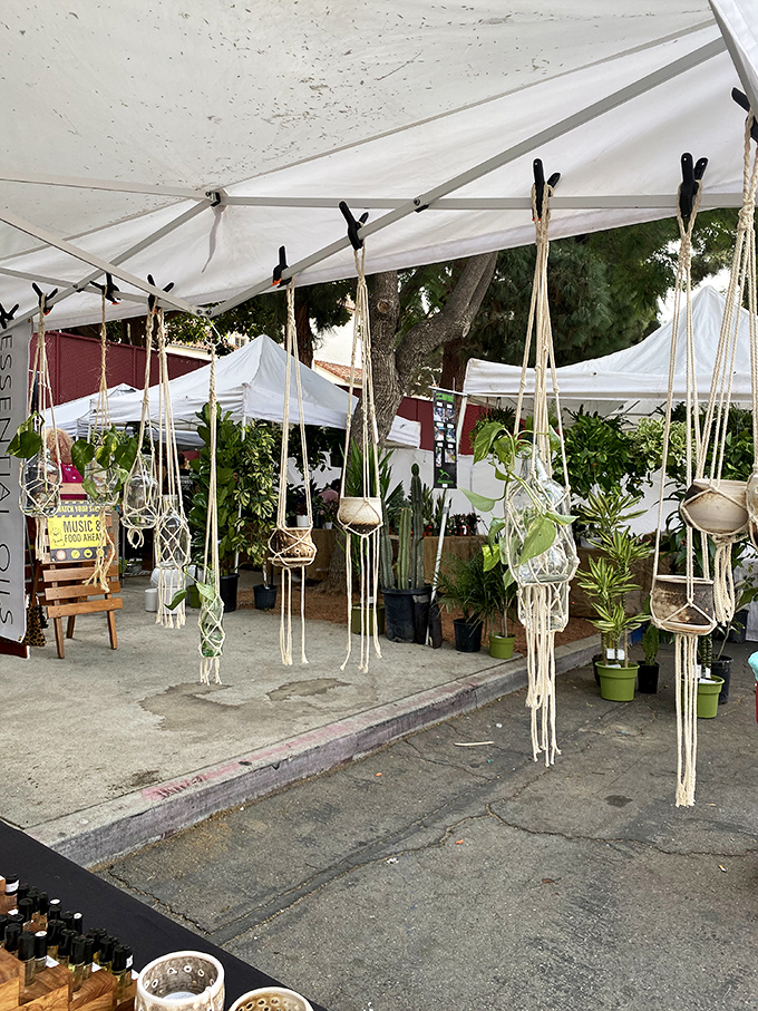 Macrame plant hangers bring seventies bohemian vibes back into modern homes with natural, earthy charm.