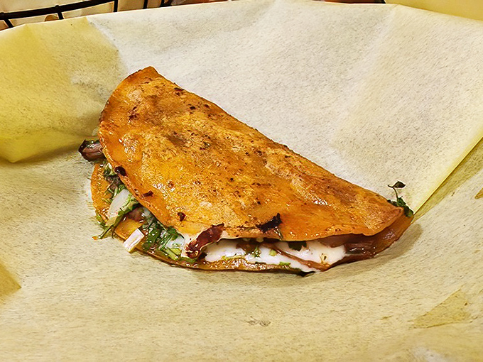 The quesabirria taco glistens with promise, its crispy exterior hiding a tender, flavorful interior—like the best people you know.