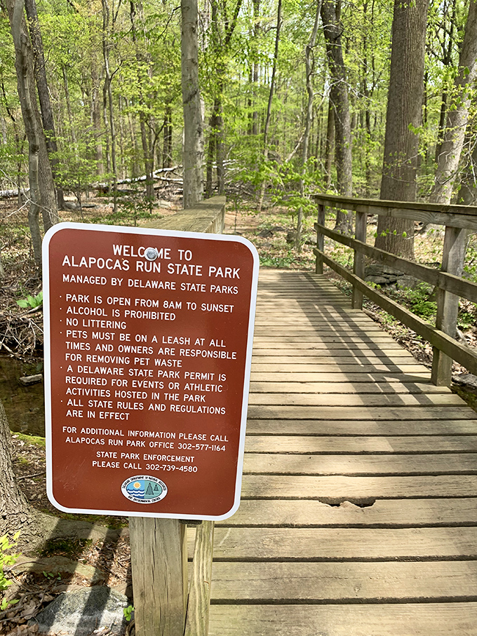 The welcome sign: nature's version of house rules, but with significantly better views than your living room.
