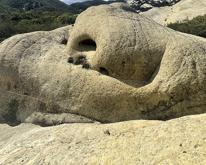 Mother Nature's sense of humor revealed in this rock formation that looks suspiciously like a face. Even geology appreciates a good visual pun.