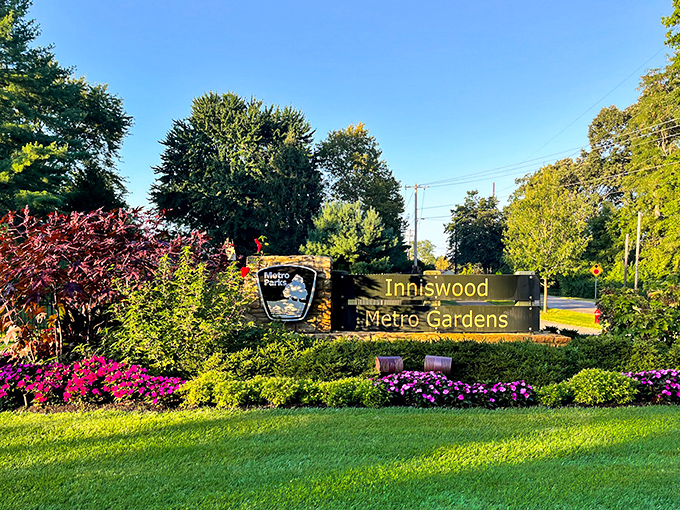The promise of wonder carved in wood. This entrance sign doesn't just mark a location&mdash;it's the first page of an adventure waiting to unfold.