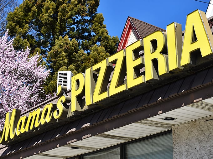 In spring, the cherry blossoms frame Mama's iconic yellow sign&mdash;nature's way of highlighting one of Pennsylvania's culinary treasures.
