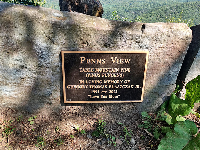 A memorial plaque adds poignant meaning to this natural wonder. Even in such vast landscapes, personal connections make these places truly special.