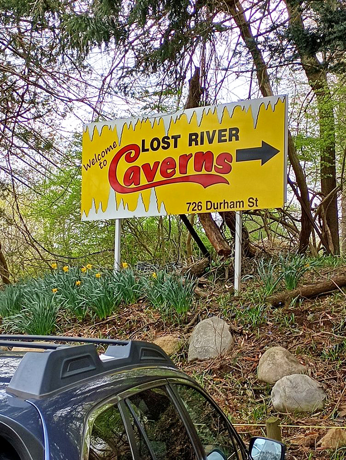This cheerfully retro sign points the way to underground wonders, its bright yellow backdrop standing out against Pennsylvania's lush greenery like nature's own billboard.