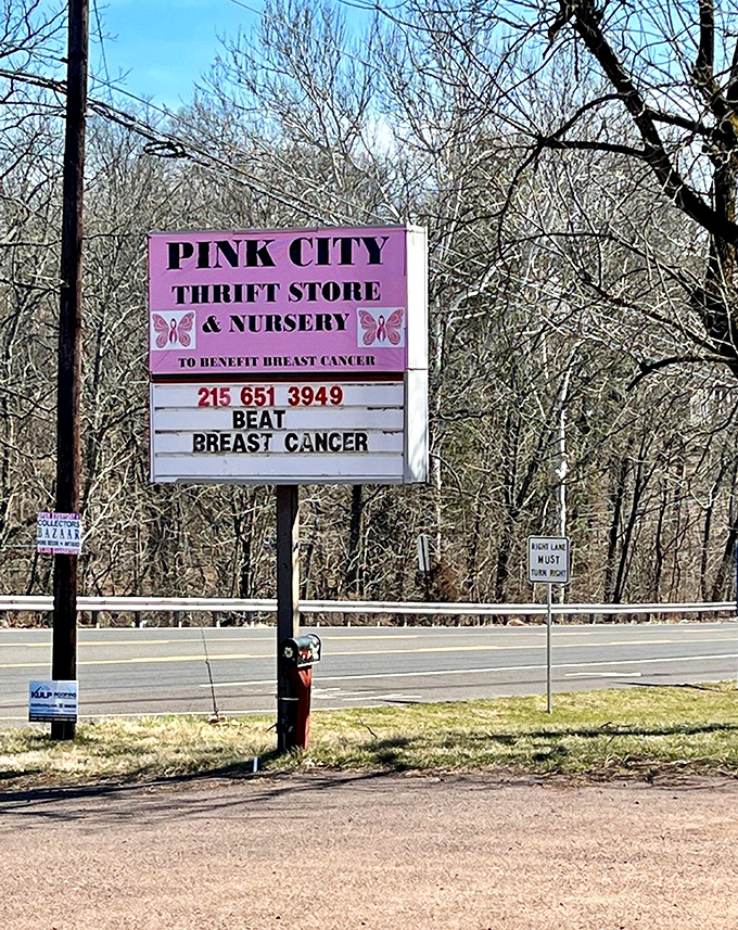 The roadside sign reveals Pink City's heartfelt mission: a thrift store and nursery benefiting breast cancer. Shopping with purpose never looked so good.