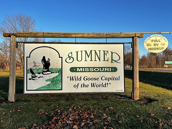 Wild Goose Capital of the World proclaims Sumner's welcome sign. When a town embraces its identity this enthusiastically, you can't help but smile.