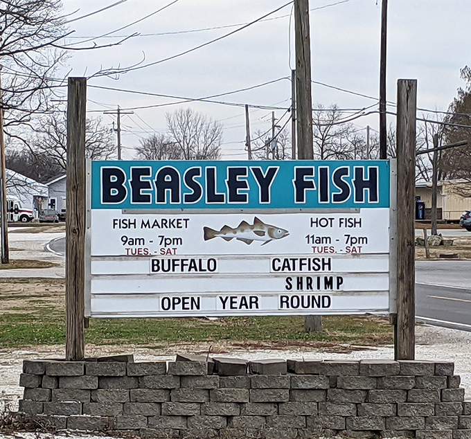 The roadside beacon that guides hungry travelers to fried fish nirvana. Open year-round because cravings for perfect catfish fritters don't follow a calendar.