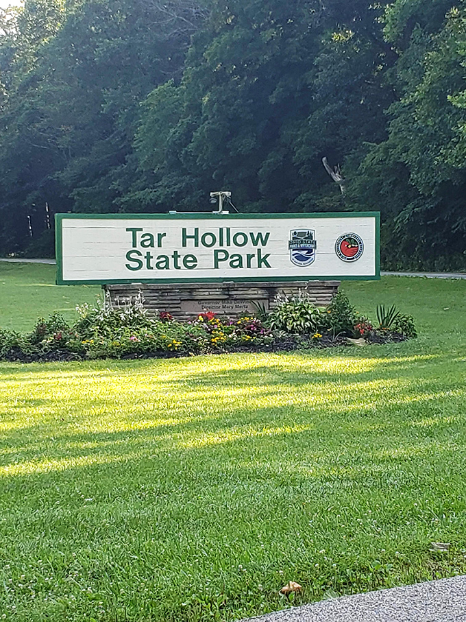 The gateway to adventure! Tar Hollow's welcoming sign, framed by colorful flowers, promises natural wonders just beyond the entrance.