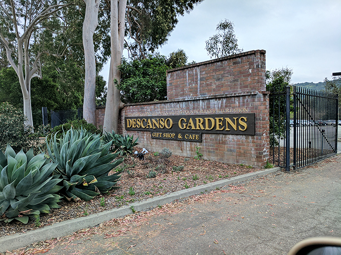 The entrance sign promises what lies beyond&mdash;a retreat where "descanso" (Spanish for "rest") isn't just a name, it's a guarantee delivered in flowers.