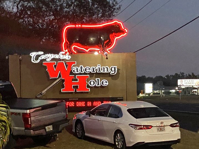 The neon cow sign glows like a beacon for the beef-obsessed. At night, Cowpoke's transforms from roadside restaurant to glowing landmark that says "turn here for satisfaction.