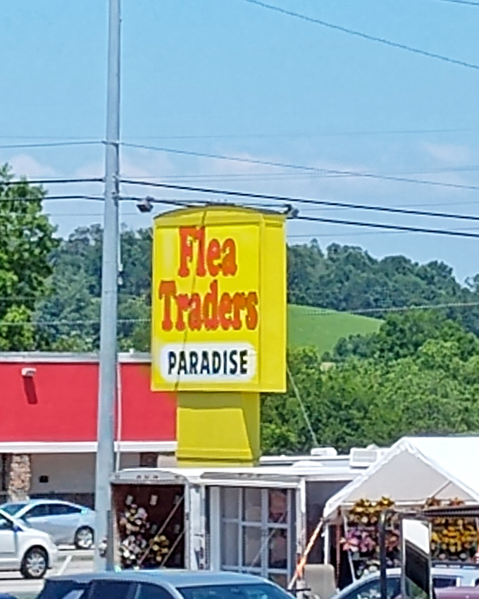 The beacon that guides treasure hunters home. This bright yellow sign promises paradise, and for collectors and browsers alike, it delivers.