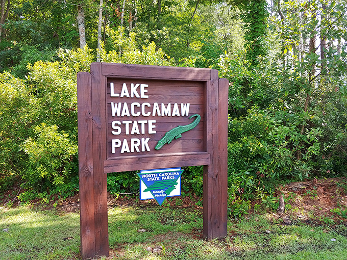 The park entrance sign promises adventure with its alligator silhouette. Consider it nature's way of saying "Fasten your seatbelts."