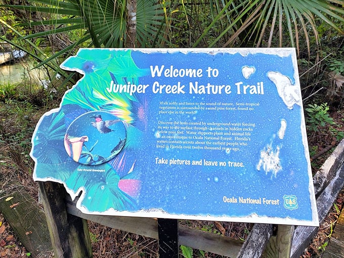 The Juniper Creek Nature Trail sign invites visitors to discover a landscape shaped by underground water forcing its way through limestone &ndash; Florida's natural plumbing system.