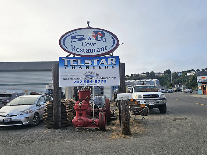 The Sea Pal Cove sign stands as a beacon of hope for hungry travelers, promising seafood salvation just around the corner.