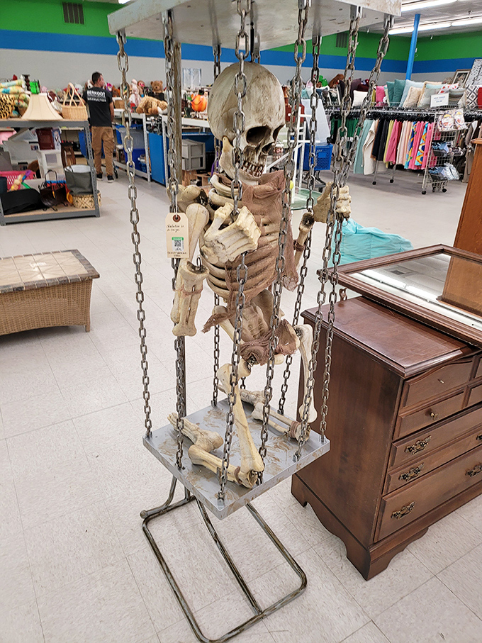 The ultimate Halloween find! This skeleton on a swing embodies Goodwill's unpredictability &ndash; you never know when you'll discover a conversation piece.