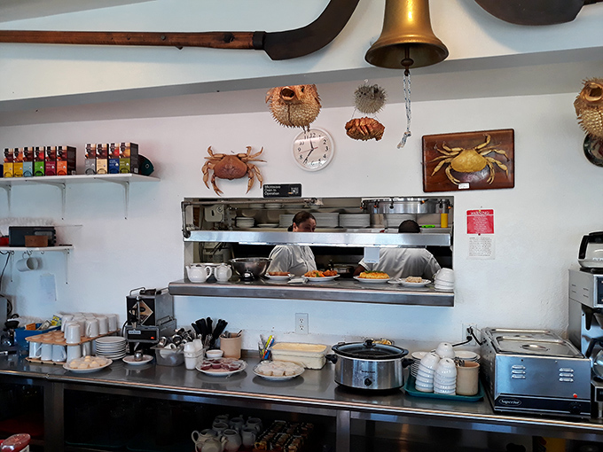 The hardworking kitchen crew orchestrating culinary magic behind scenes decorated with maritime treasures and memories.